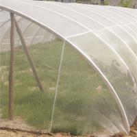 China 100% HDPE Anti Insect Net for Greenhouse 50g to 150g per m2 4 to 6 Year Lifespan for sale