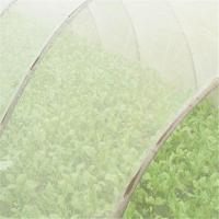 China White HDPE Anti Insect Bird Net 20x20 Mesh 50g/m2 Fruit Tree Cover UV Protected for sale