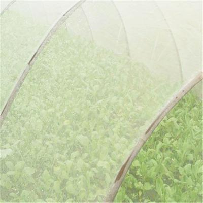 China White HDPE Anti Insect Bird Net 20x20 Mesh 50g/m2 Fruit Tree Cover UV Protected for sale