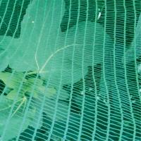 China White Anti Hail Net HDPE UV 40-150g/m2 Width 6m for Agriculture for sale