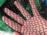 China Plants Protection Anti Hail Net/Greenhouse Insect Proof for sale