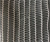 China Plants Protection Anti Hail Net/Greenhouse Insect Proof for sale