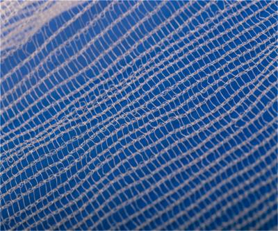 China HDPE UV Anti Hail Net 40g to 150g per Square Meter for Agricultural Orchard Tree Protection for sale