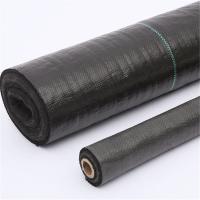 China Anti UV PP Woven Weed Control Ground Cover 80-150gsm 1-6m Width Blue Strip Agricultural Plastic for sale