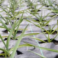 China Black UV PP Woven Ground Cover Weed Mat 80-150gsm 1-6m Width for sale