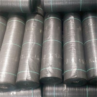 China garlic and onion PP plastic weed control mat/woven black anti grass cloth for sale