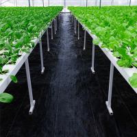 China 200m Fabric Anti Weed Barrier Agriculture Ground Cloth Cover 80g-150g for sale