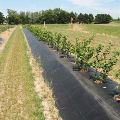 China 200m Fabric Anti Weed Barrier Agriculture Ground Cloth Cover 80g-150g for sale