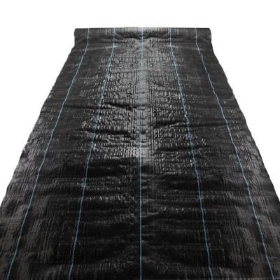 China PP Ground Cover Fabric Weed Control Mat 80g-150g 1m-6m Width for sale
