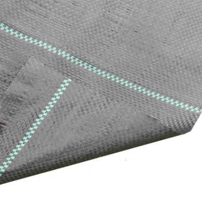 China PP PE UV 3% Agricultural Ground Cover Mat 80g-150g Weed Control Fabric 1m-6m Width for sale