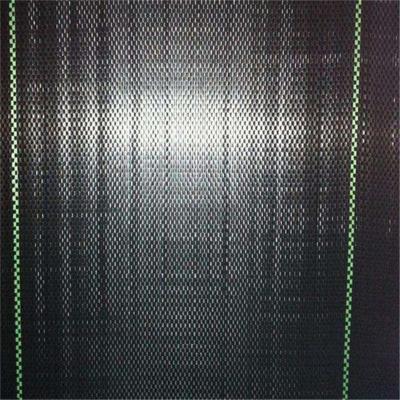 China PP PE UV 3% Plastic Weed Barrier Mat 80g-150g per m2 1m-6m Width Agricultural Coir Weed Mat for sale