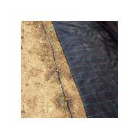 China Horticulture Landscaping Weed Barrier Fabric 100g PP PE UV Ground Cover Net 1m x 50m for sale