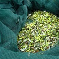 China Plastic Green Olive Harvest Nets Supplier CY-050 for sale