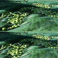China HDPE Agriculture Olive Net harvest net with high quality for sale