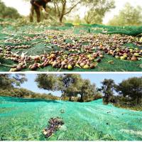 China Knitted agriculture olive tree net for catching olive for sale
