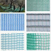 China HDPE Agriculture Olive Net harvest net with high quality for sale