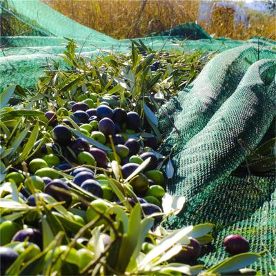 China Agriculture design cheap price olive tree harvest net for sale