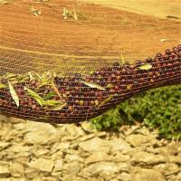 China Agriculture design cheap price olive tree harvest net for sale