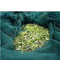 China 100% Virgin HDPE Olive Net Fruit Harvest Net Anti Bird Net for sale