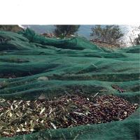 China 100% Virgin HDPE Olive Net Fruit Harvest Net Anti Bird Net for sale