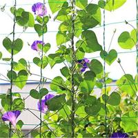 China Trellis Plants Climbing Fruit Net Vegetables and Fruits Trellis Support for sale