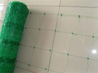 China PP UV Stabilized Plant Support Net for Tomatoes Climbing Vegetables 150x170mm Mesh 1m Width for sale