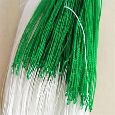 China PP UV Stabilized Trellis Netting 100x100mm Mesh for Climbing Plants Support for sale