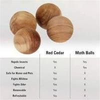 China Natural Cedar Wood Moth Balls 22cm Non Toxic Pantry Pest Killer for Closets for sale
