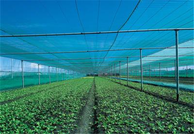 China HDPE Shade Net 30-90% Shading for Greenhouse Agriculture 2x100m for sale