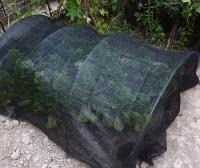 China Mono+mono, mono+tape, tape+tape shade net for sale