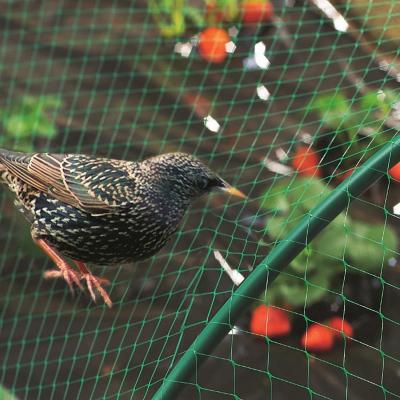 China HDPE Anti Bird Netting 10x10mm Mesh UV Treated Agricultural Protection Net for Fruit Trees for sale
