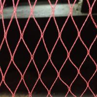 China PP Knotless Bird Proof Net/Green Color Anti Bird for sale
