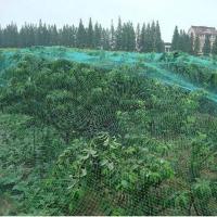 China 100% Virgin Anti Bird Plastic Net for Fruit Cage Netting for sale