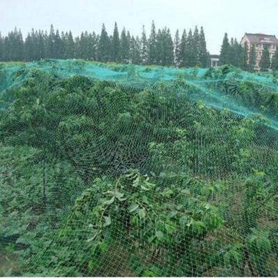 China 100% Virgin Anti Bird Plastic Net for Fruit Cage Netting for sale