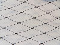 China HDPE Anti Bird Netting 10x10mm Mesh Size UV Treated for Orchard Crop Protection for sale
