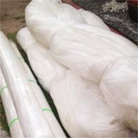 China HDPE Anti Insect Net for Agriculture Greenhouse 50x25 Mesh 200m Length UV Protected for sale