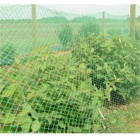 China HDPE Anti Insect Net for Agriculture 50x25 Mesh 200m Length UV Protected for sale