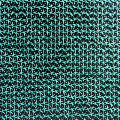 China Anti Insect Net 100% Virgin HDPE 40x25 Mesh 150g/m2 UV Treated 200m Length for sale