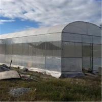 China anti insect netting manufacturer for sale