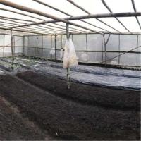 China anti insect netting manufacturer for sale