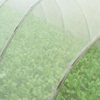 China Fish Farming  Agricultural Nets, insect netting, anti insect net for sale