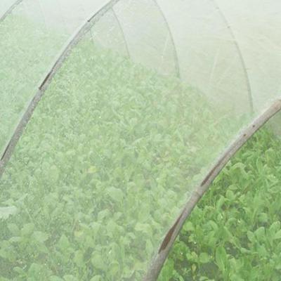 China Fish Farming  Agricultural Nets, insect netting, anti insect net for sale