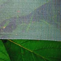 China Overhead Crop Netting,Citrus Netting,Fruit Tree Netting for sale