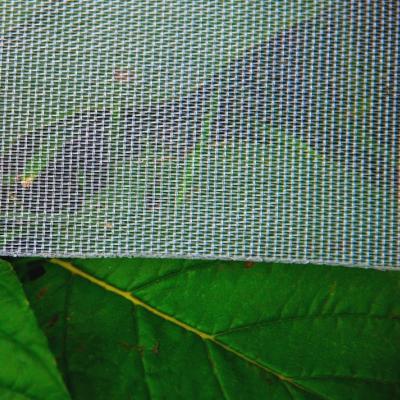 China Overhead Crop Netting,Citrus Netting,Fruit Tree Netting for sale