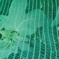 China 100% virgin hdpe anti hail net,rede anti-granizo for sale