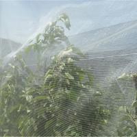 China Anti Insect Netting 24 Mesh Heavy Duty UV Stabilized Polyethylene Garden Pest Barrier 3.6m Width for sale