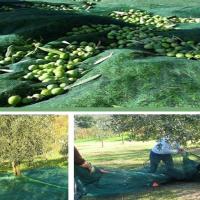 China HDPE Olive Harvest Nets UV Treated 1-8m Width Custom Length for Farm Collection for sale