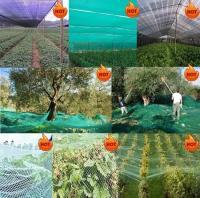 China HDPE Olive Harvest Nets UV Treated 1-8m Width Custom Length for Farm Collection for sale