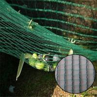 China HDPE Olive Harvest Nets UV Treated 1-8m Width Custom Length for Farm Collection for sale