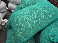 China 100% Virgin HDPE Olive Harvest Net 60gsm 4x6m Durable Fruit Collection Netting for sale